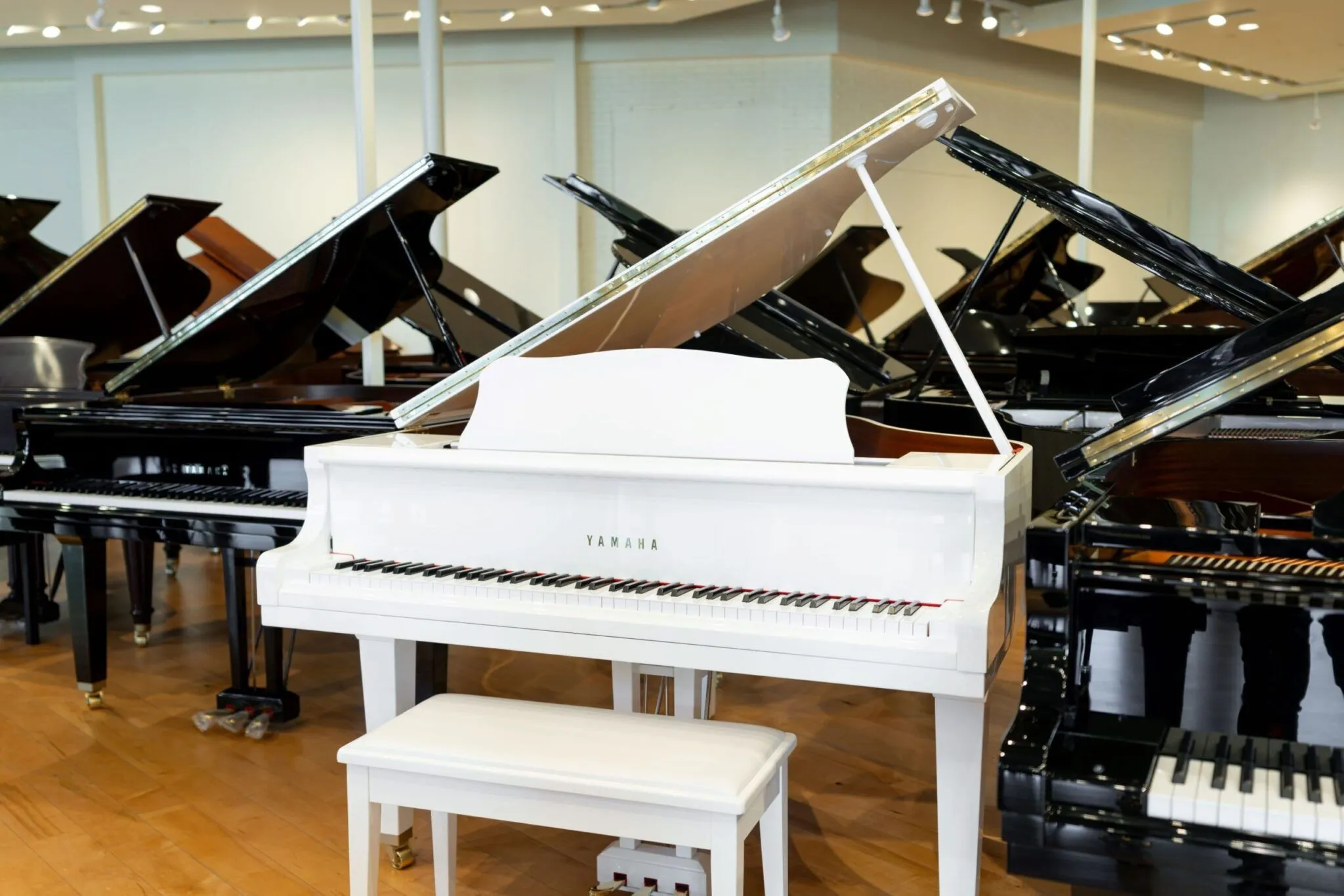 Solich Piano | Most Trusted Piano Store Near You | PA, OH, MI
